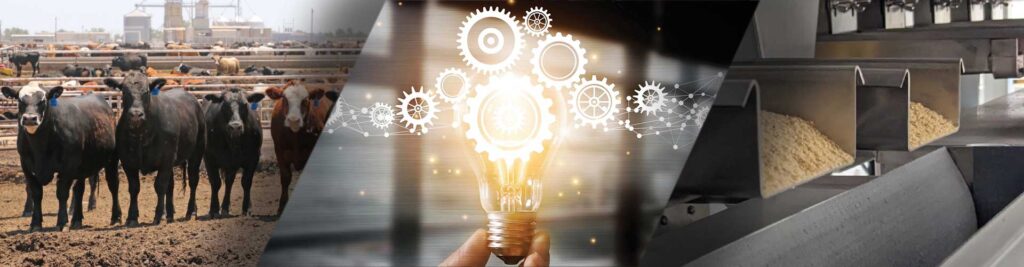 Revolutionizing Feed Yard Operations with Advanced Feed Automation ...